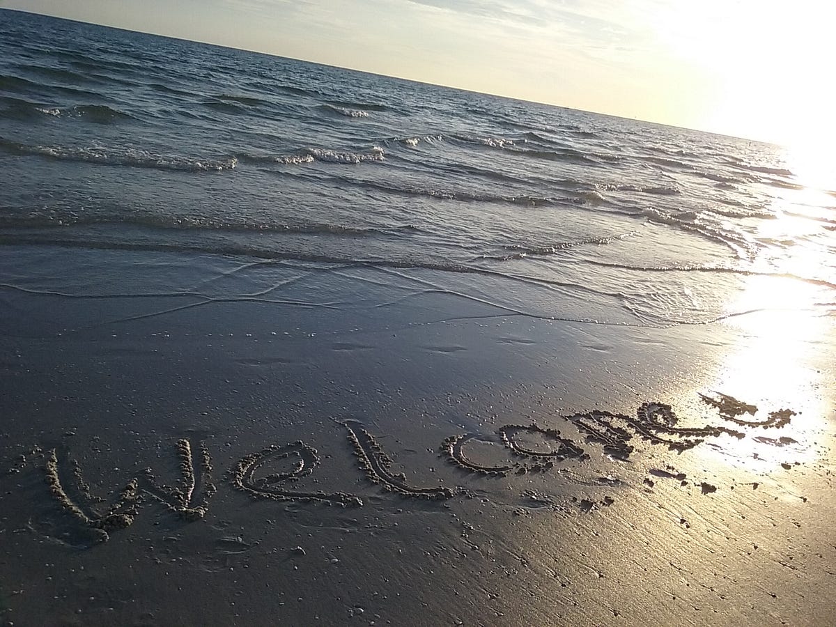 Journey to New Horizons. I just started school at The Iron Yard… | by ...