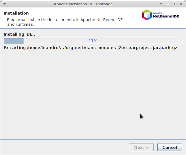 Instalando o Apache Netbeans no Debian, Ubuntu e derivados | by Leandro ...