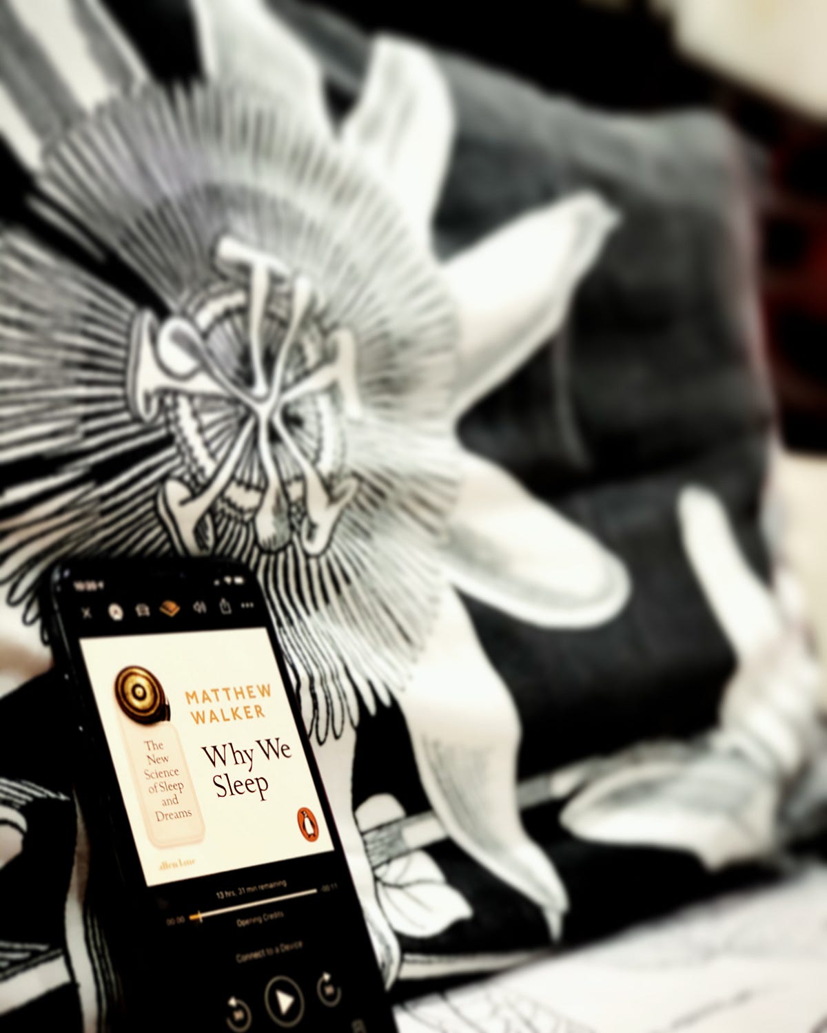 Why We Sleep by Matthew Walker — Short Thoughts | by Siddharth Gupta ...