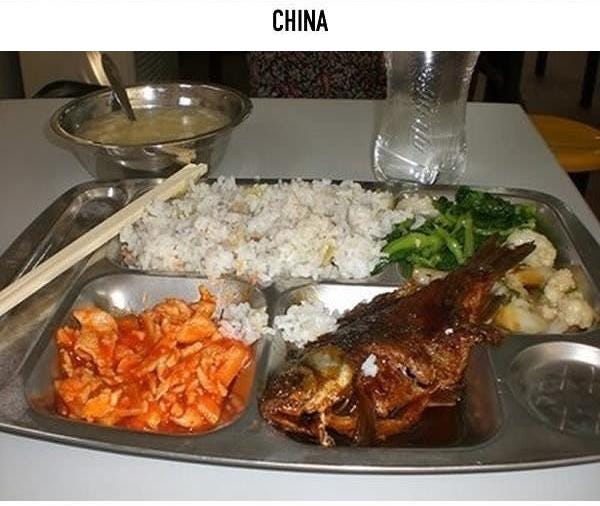 What School Lunches Look Like In 20 Countries Around The World | by ...