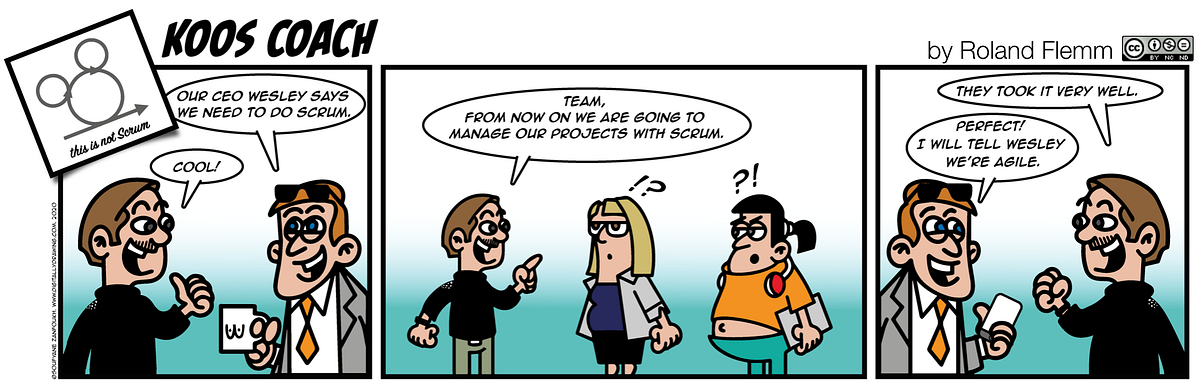 Koos Coach Comic: We Need Scrum. In my daily life as a Scrum Master, I ...