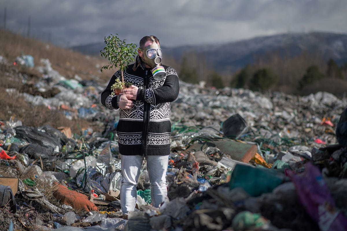 Why the broken-hearted story of nature’s death must be told every ...
