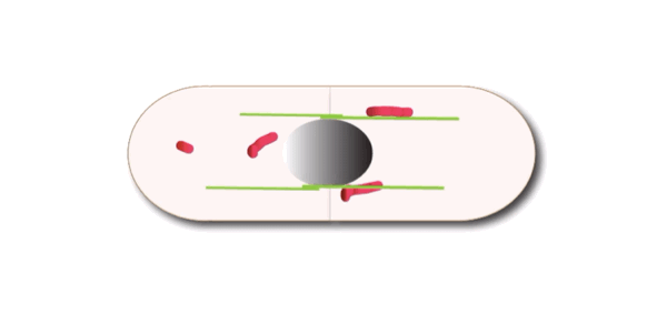 Who’s controlling your mitochondria? | by Leeba Ann Chacko | Medium
