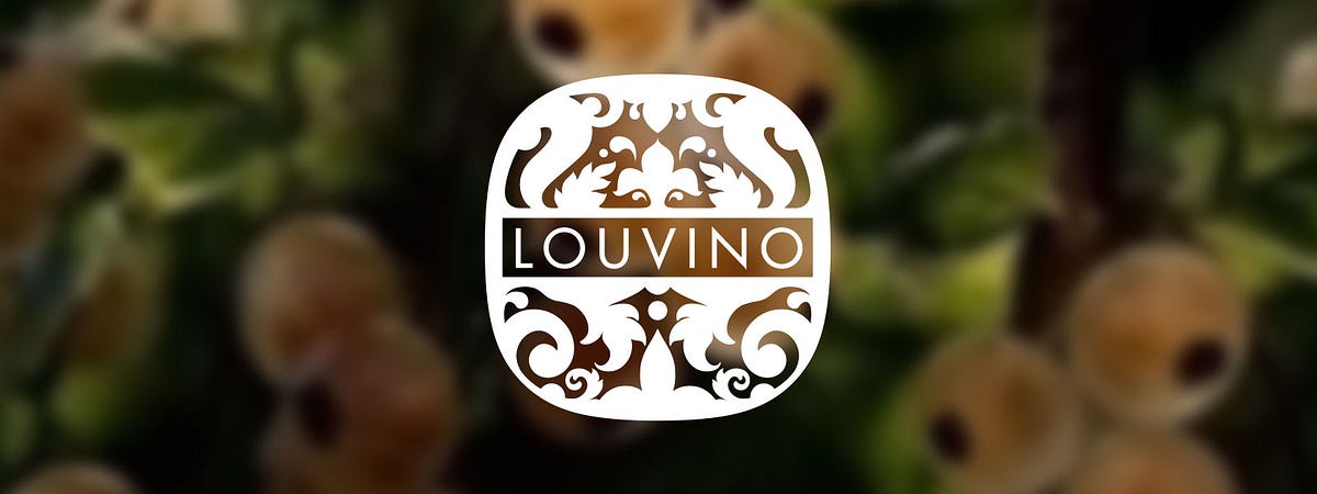 LOUVINO. The Situation: | by Patrick Spiers | Medium