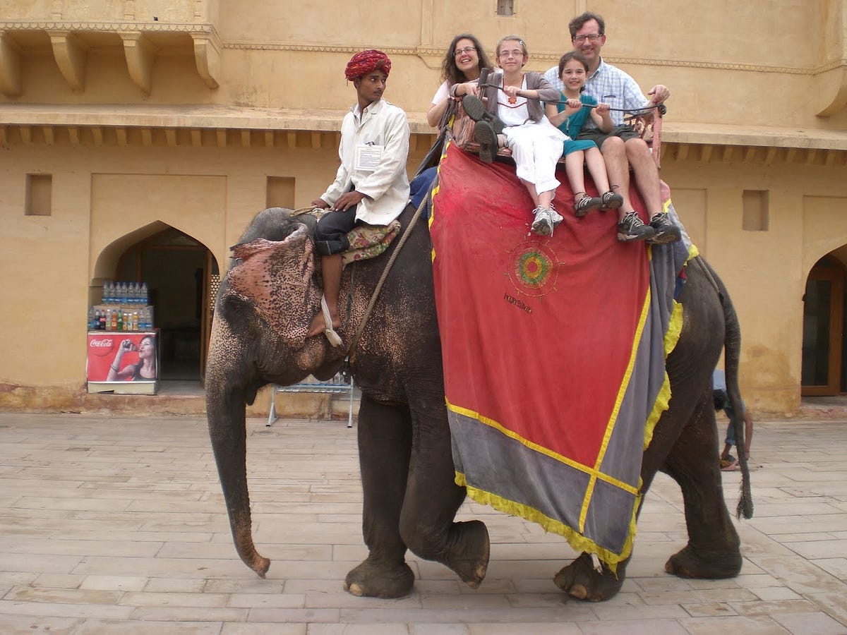 5 Adventure Activities In Jaipur That You Must Not Miss | by TripToli ...