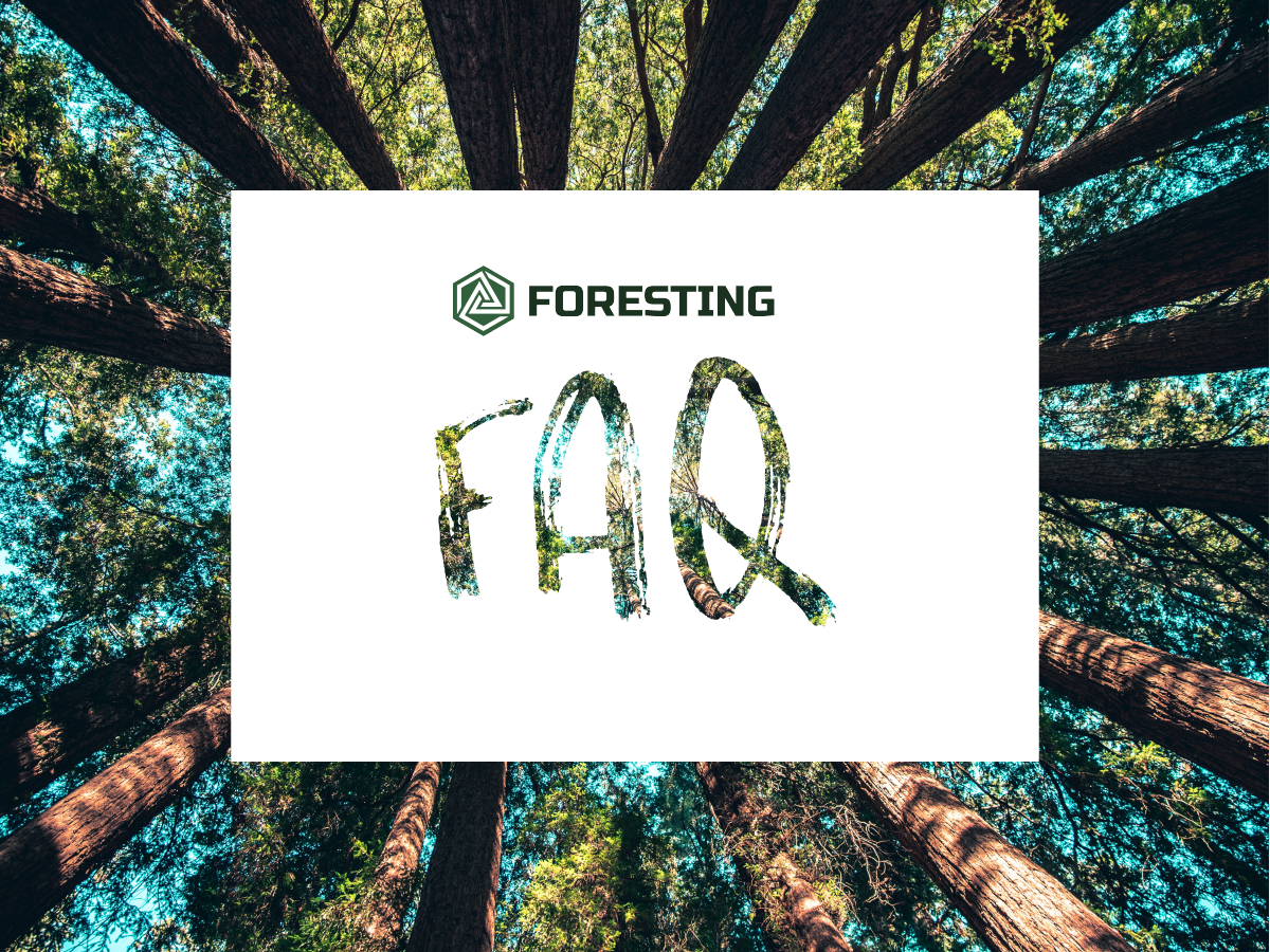 FORESTING FAQs. Here is an outline of the most… | by Foresting ...