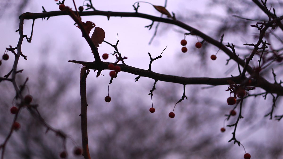 My First Brush with Depression and What You Can Learn From It | by John ...