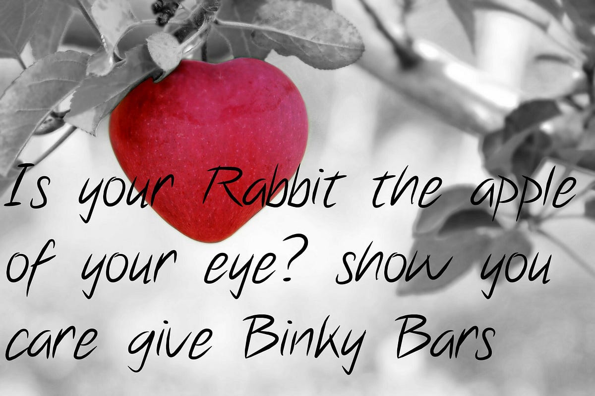 #binkybars #treats #nature #healthy #rabbit | by Binky Bars Ltd - about ...