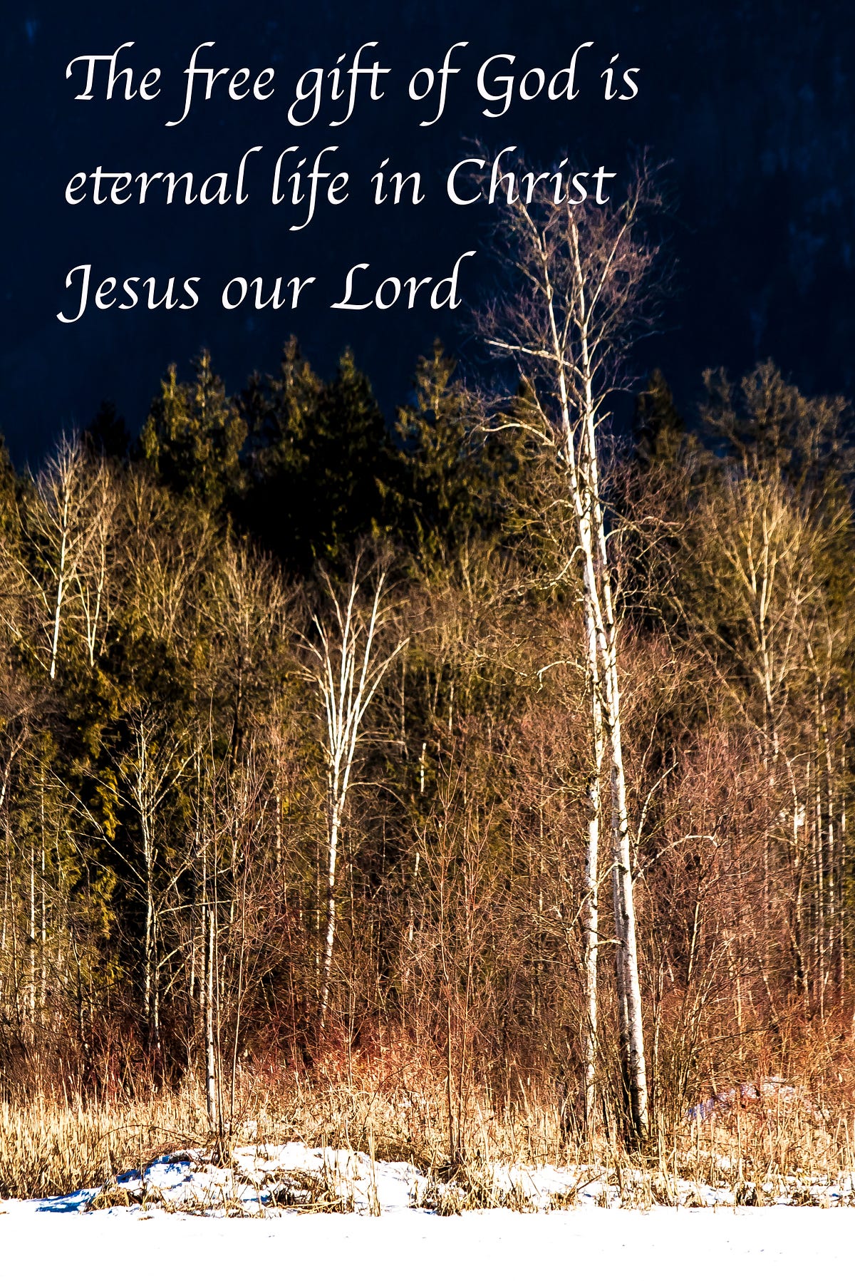 The Gift You Can’t Return. For the wages of sin is death, but the… | by ...