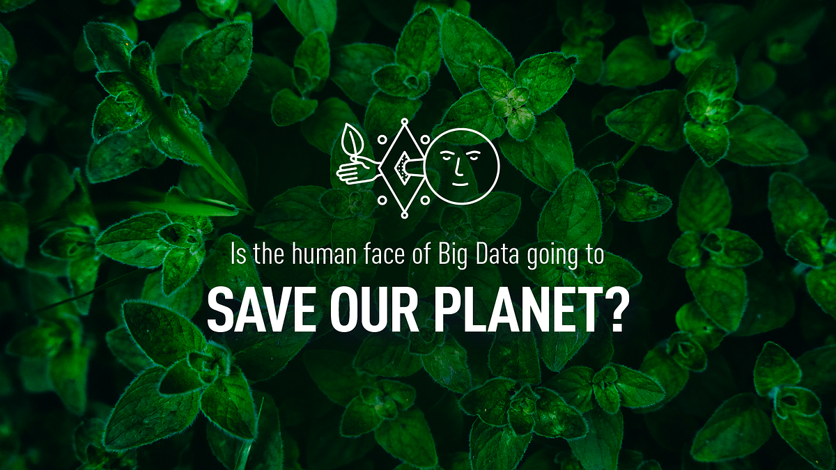 Is the human face of Big Data going to save our planet — TASIL | by ...