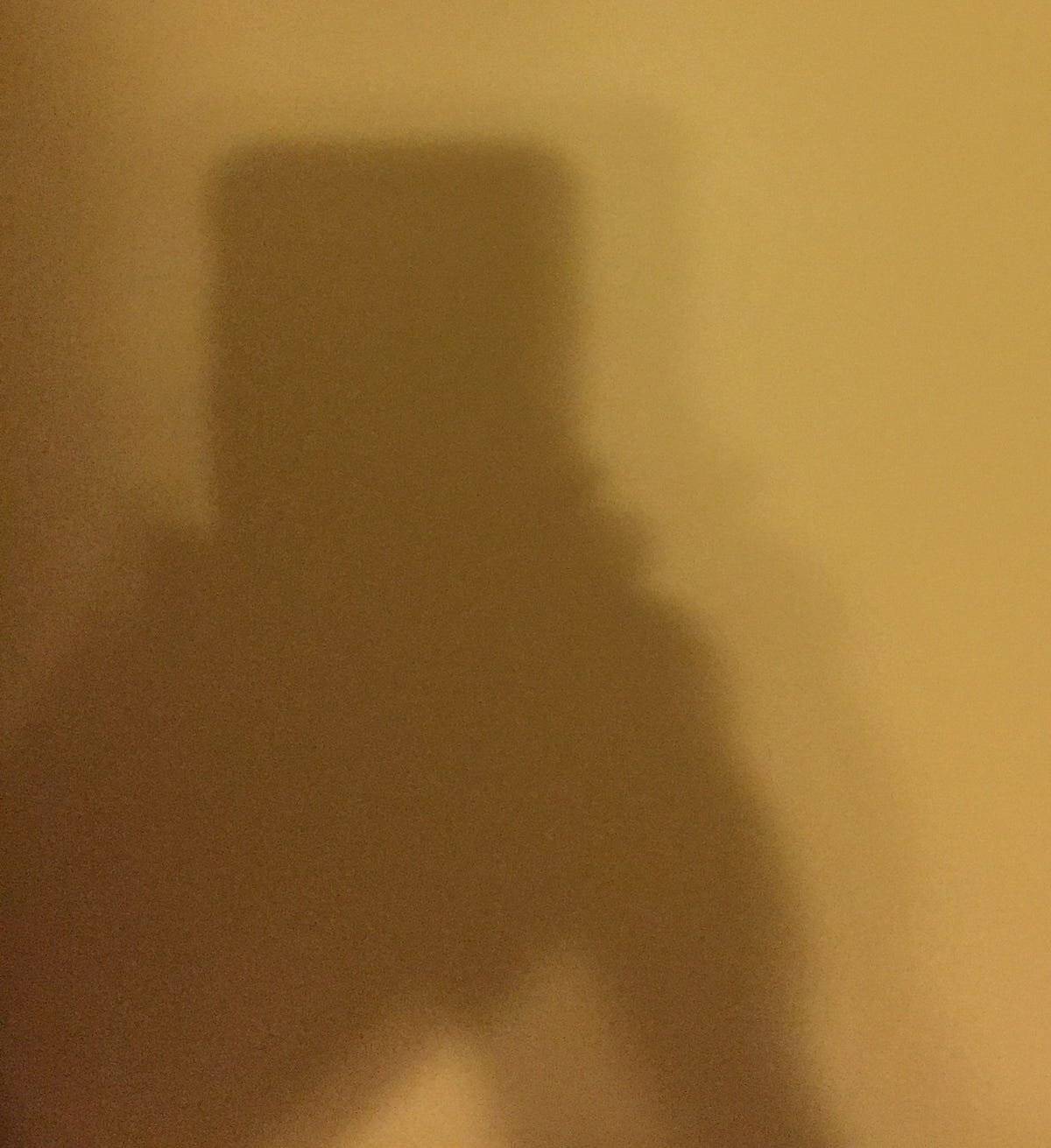 Shadow Selfie. In the light: | by Richard Palmquist, DVM GDVCHM CCHVM ...