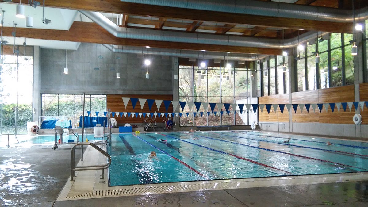 Make a Splash at Western Washington University | by Nicole Sievers | Medium