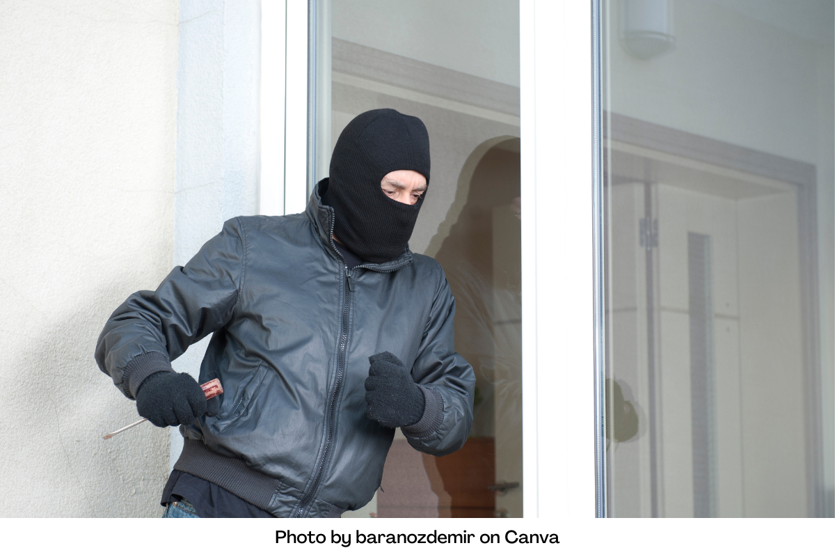 Most Home Burglaries Succeed. What Are the Best Measures for You to ...