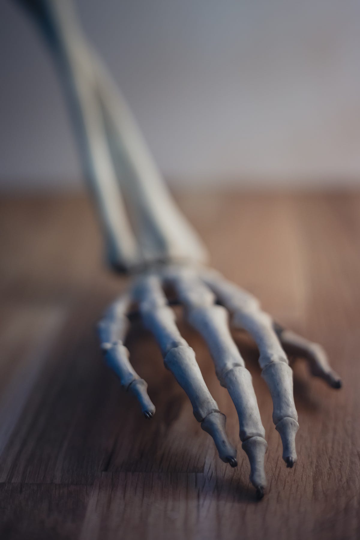 Take My Bones - Blue Insights - Medium