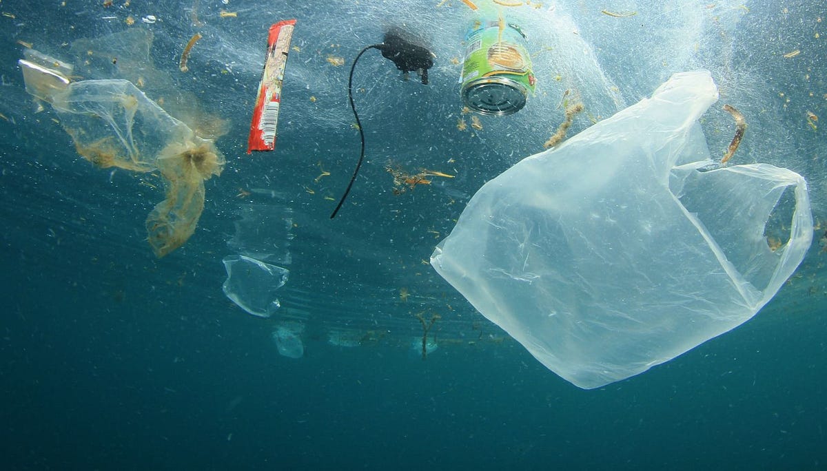 The Plastic Tide: Who’s to Blame? | by Swayamsaha | AITS Journal | Medium