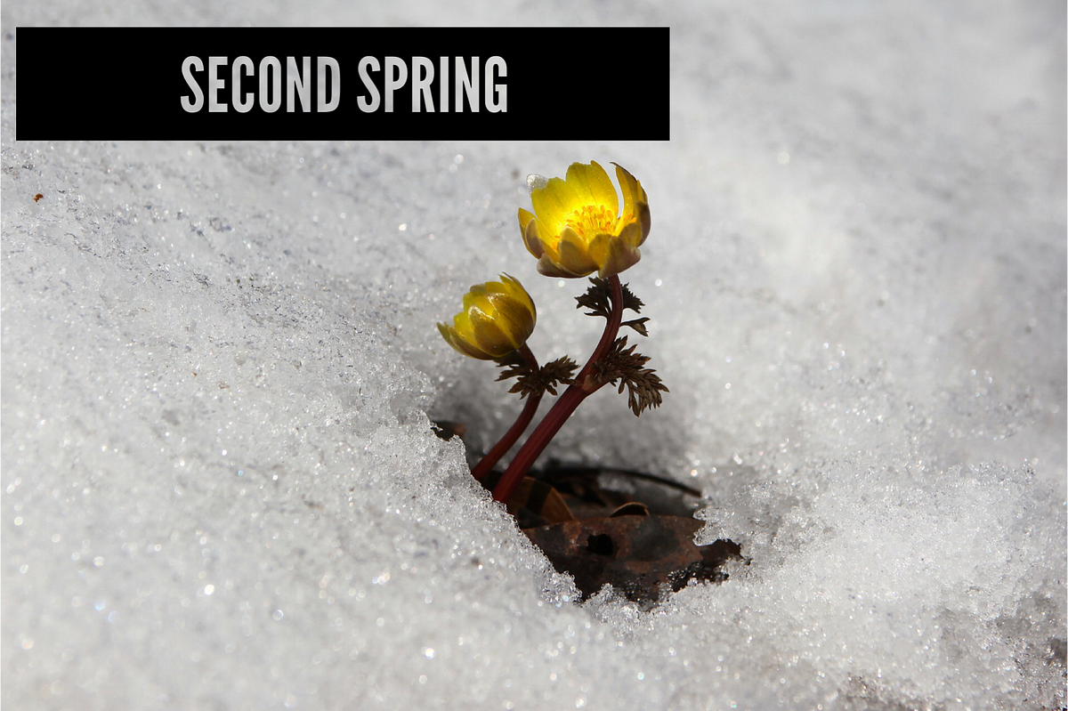 Your Menopause Perspective Sign Of Aging Or Second Spring By Lori