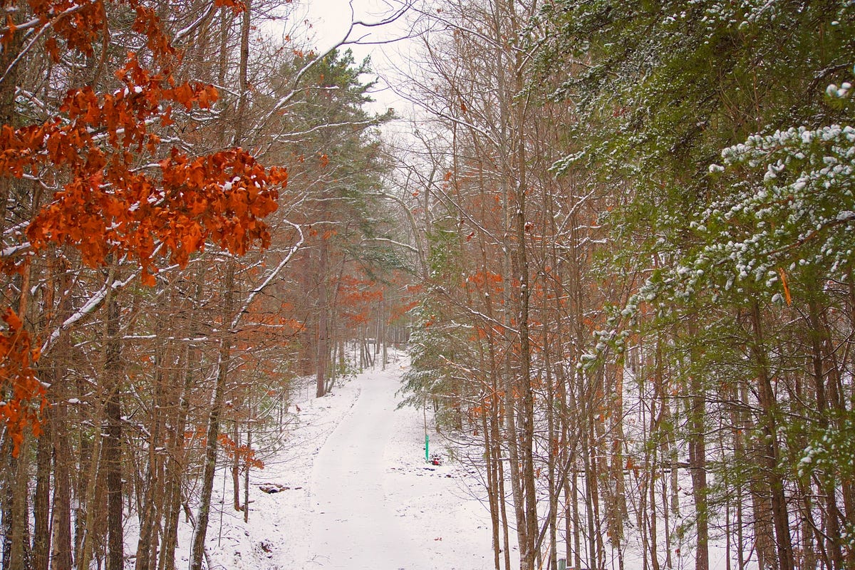 “I’m Mad As Hell & I’m Not Gonna Take This Anymore!” | by From the ...