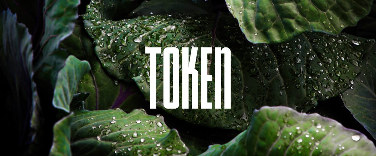 Issue №16: Salad. You have some in your teeth. | by Token | Token Mag ...