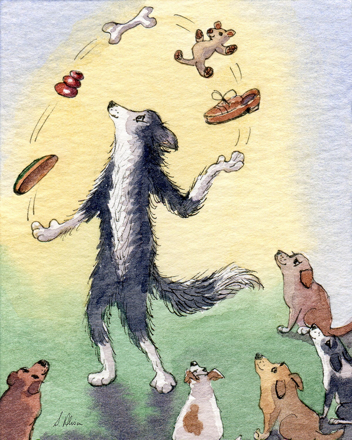 It’s World Juggling Day! This doggo relies on his juggling skills to ...
