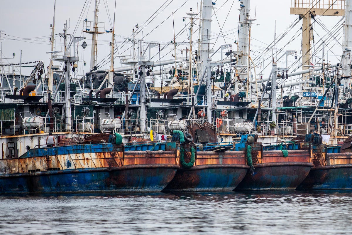 WWF to WTO: Time to make it count | by WWF Oceans | WWF -Together ...