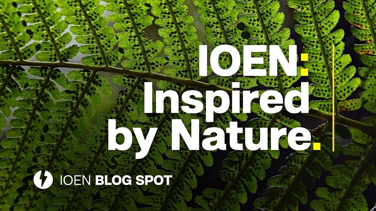 IOEN: Inspired by Nature. In this article we will see how IOEN is… | by ...