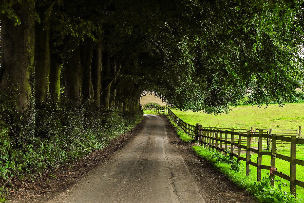 the-shortest-route-to-happiness-forgive-by-runjhun-noopur-p-s-i