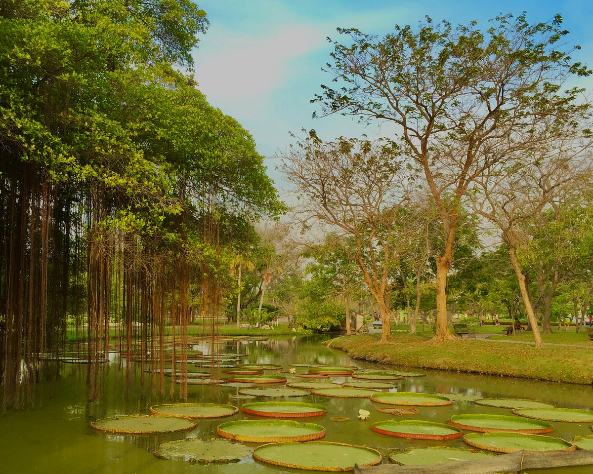 Matplotlib 讓資料視覺化 1 在python的世界中，處理資料視覺化的工具很多，其中matplotlib可以說 By Sean Yeh Python Everywhere