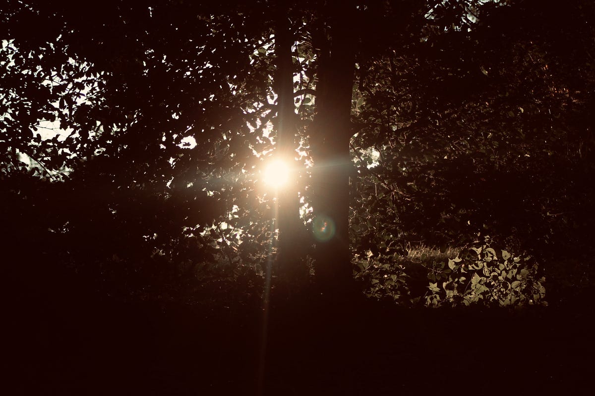 Trust in light. - Gain inspiration - Medium