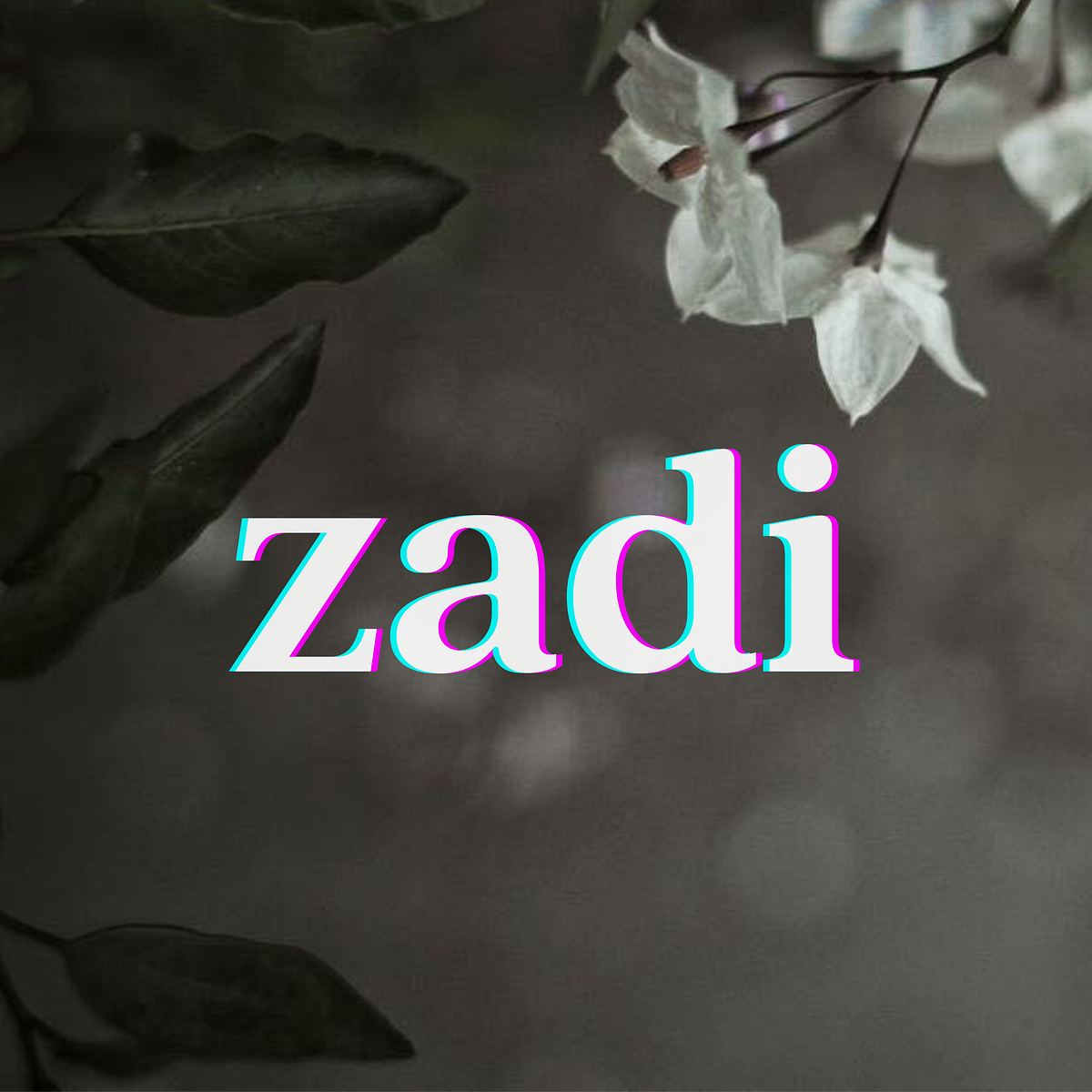 ZADI