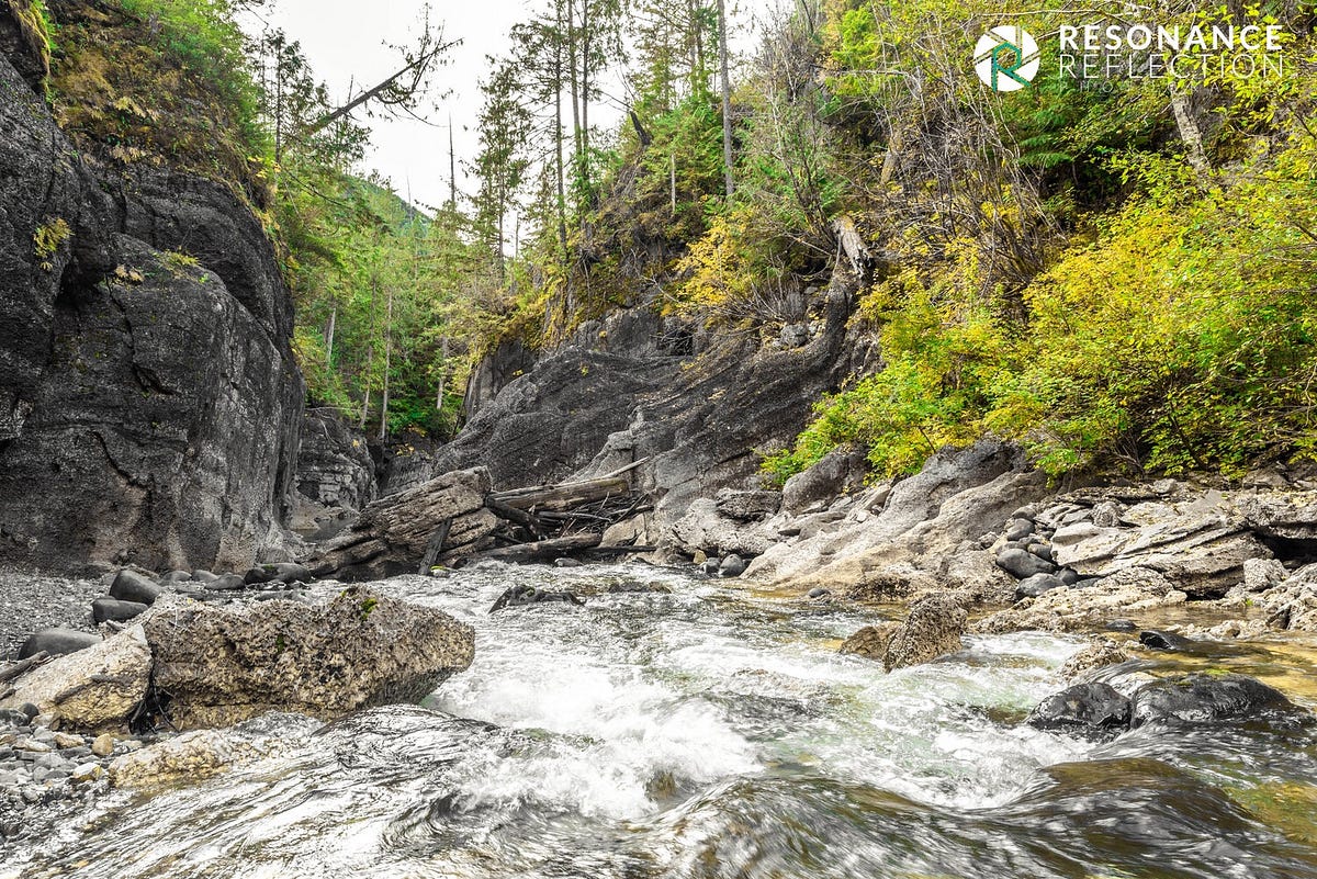 Touring Around The Port Alice Loop: Benson River 2. | by Marcel Comeau ...