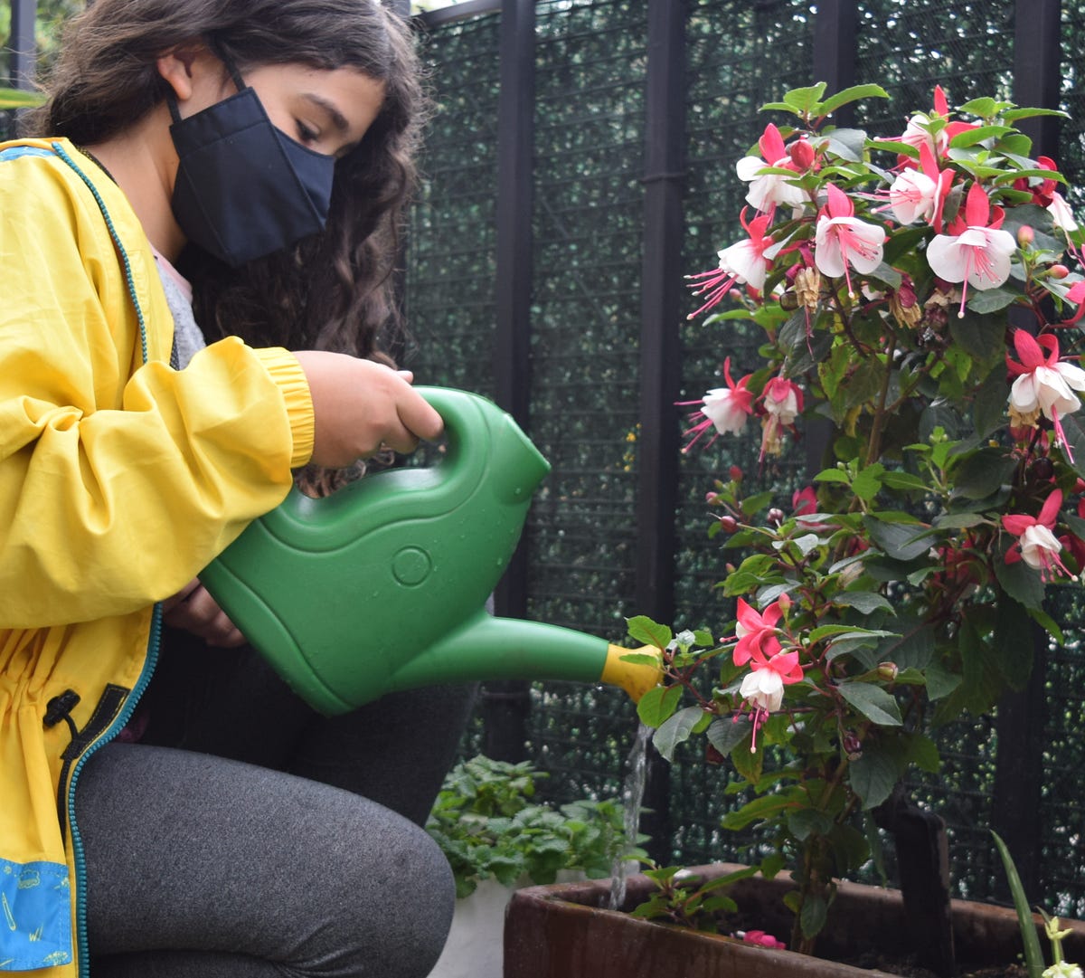 Colegio Renfort Parrilla Septiembre 2021 | by Comunicados Renfort | Medium