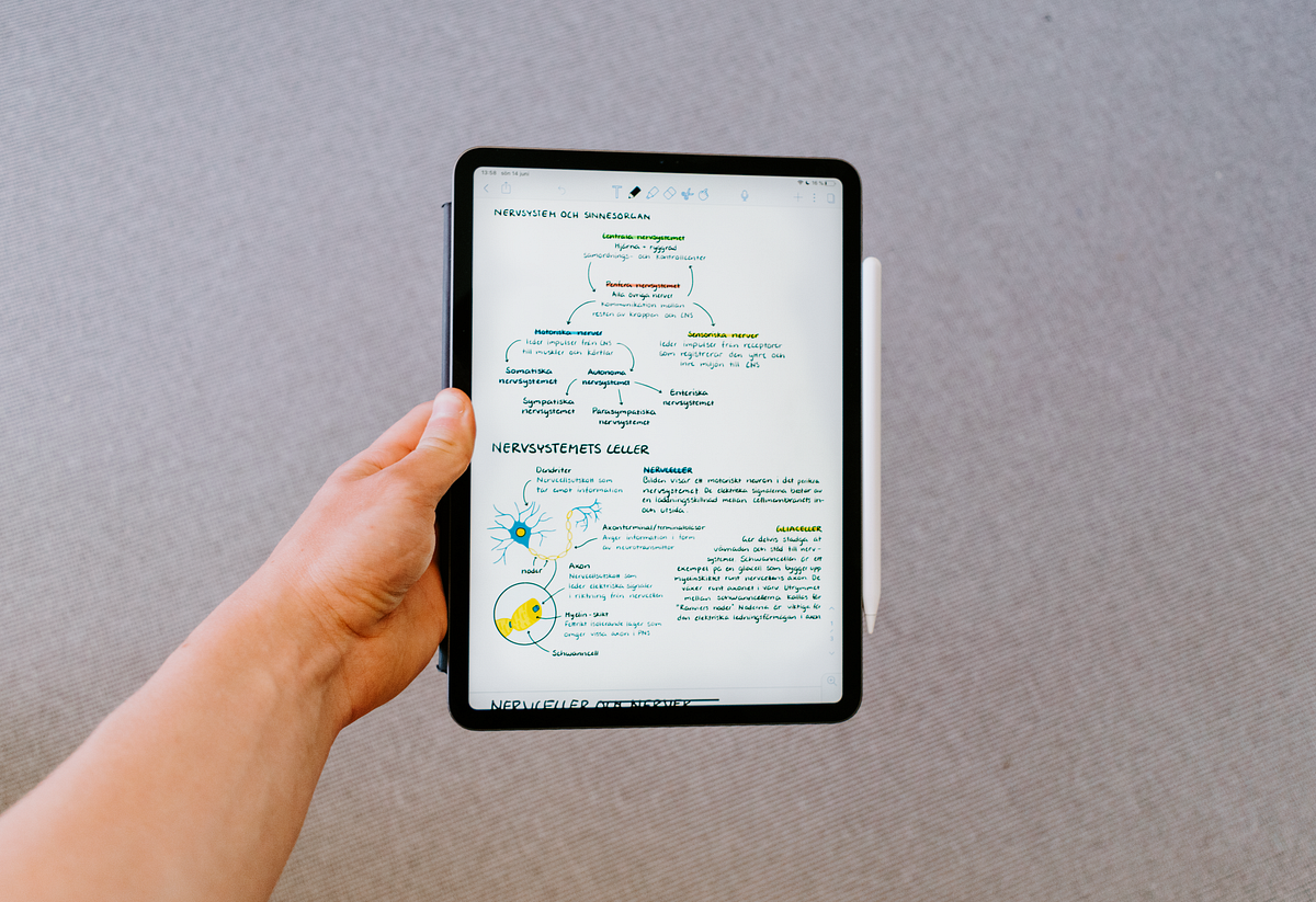 4 iPad Workflows That Will Increase Productivity as a Student | by ...