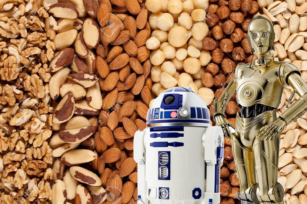 Fun NutsModel Classification using PyTorch | by Daria Shenkevych | Medium