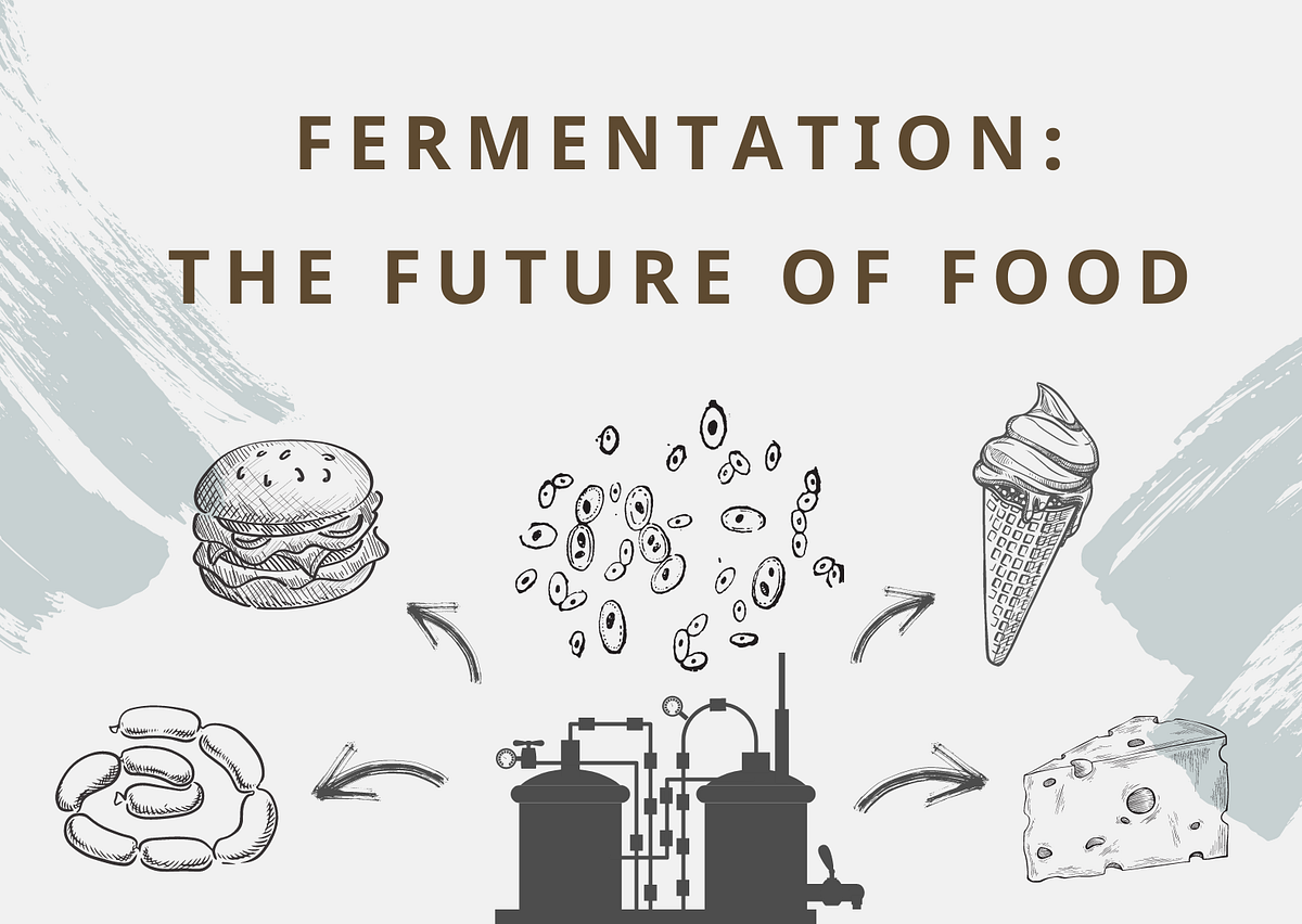 Why is Fermentation Critical for a Sustainable Future? | by Jennifer ...