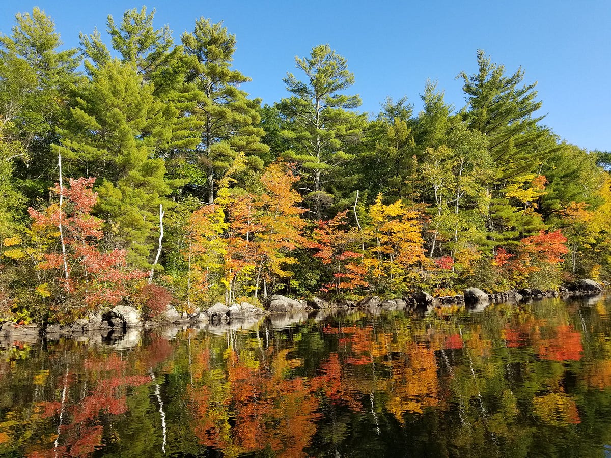 Photos of Gorgeous Fall Foliage in New Hampshire | by Todd B. Bates/NH ...