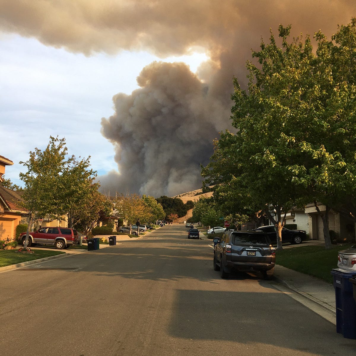 On Fire Season in the Golden State | by Grace Isabelle | Medium