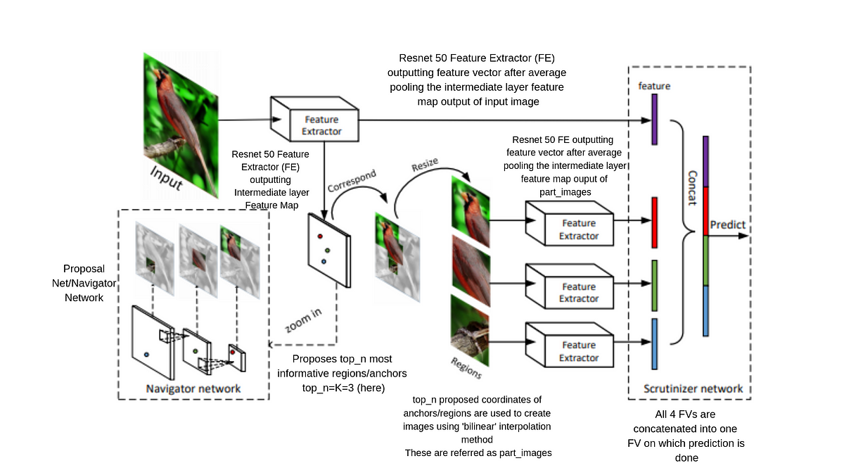 Understanding Fine Grained Visual Classification With Nts By Parnika Medium