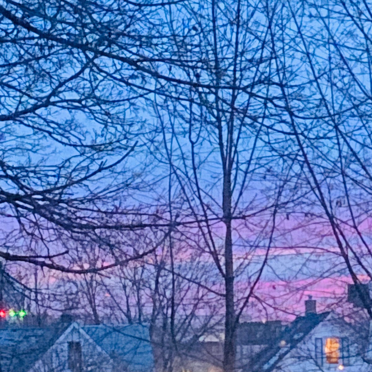Morning Window 13 Jan 22 - From the morning window - Medium