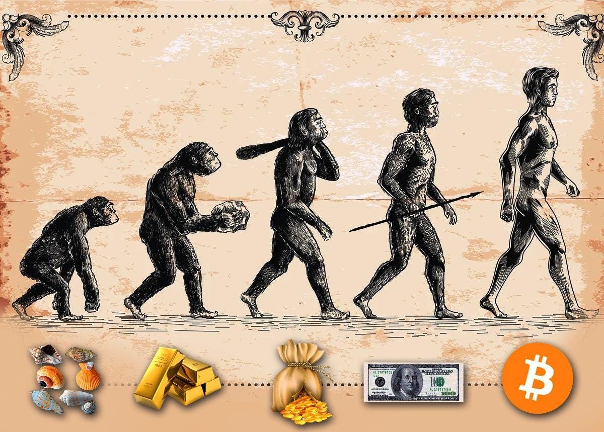 Evolution of Finance by Darwin. The era of decentralized finance. The ...