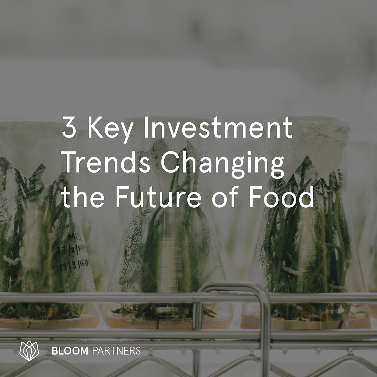 3 Investment Trends Changing the Future of Food | by Bloom Partners ...
