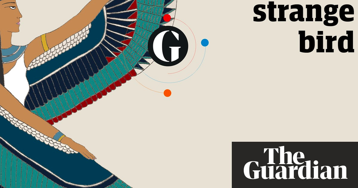 Uncovering the potential of mobile audio: a new experimental player ...