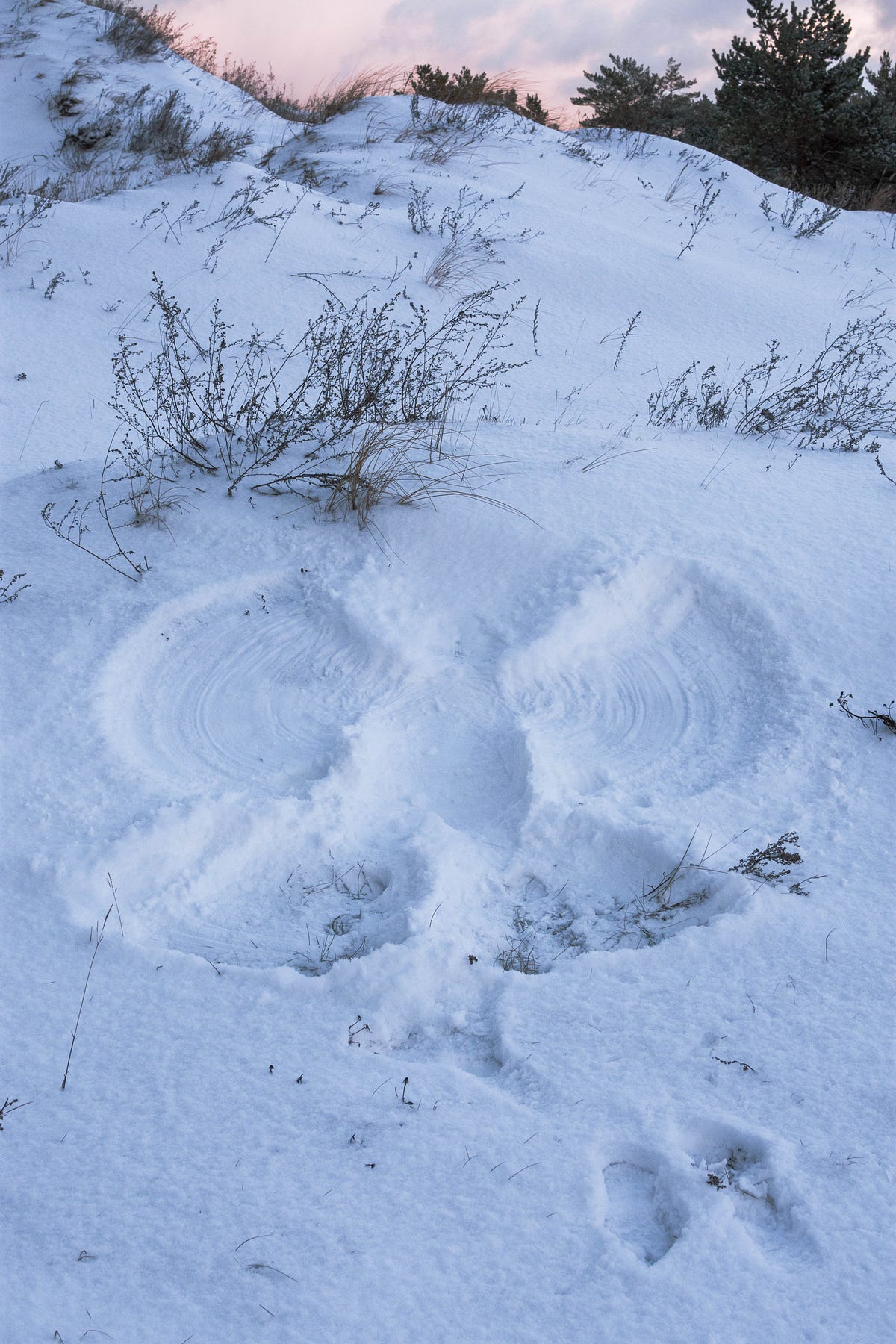 Getting That Nudge. It’s been a while since I posted… | by Carol Hoenig ...