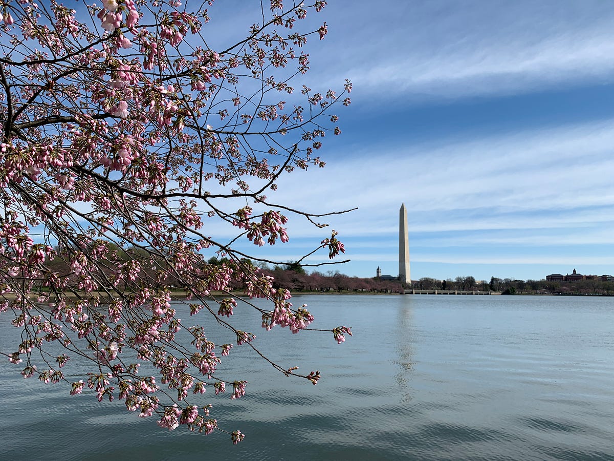 Finding Mentors in National Security and Defense | by Candice Frost ...