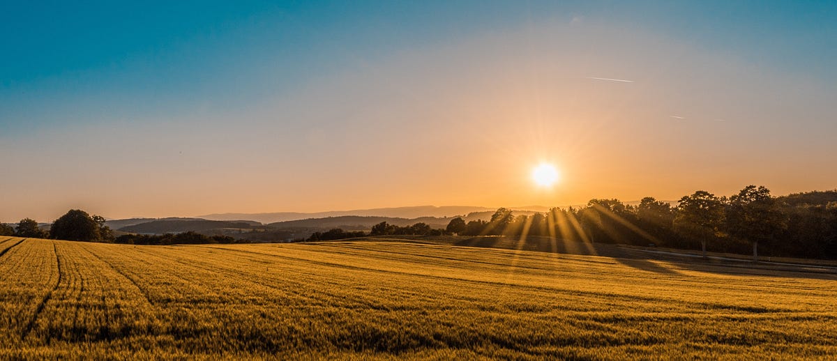 Perhaps Today. A poem | by Hugh Reiner | Morning Poems | Medium