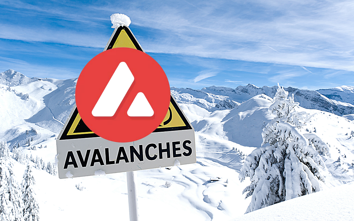 Cardano Killer: The Truth About Avalanche | by Isaiah McCall | Yard ...