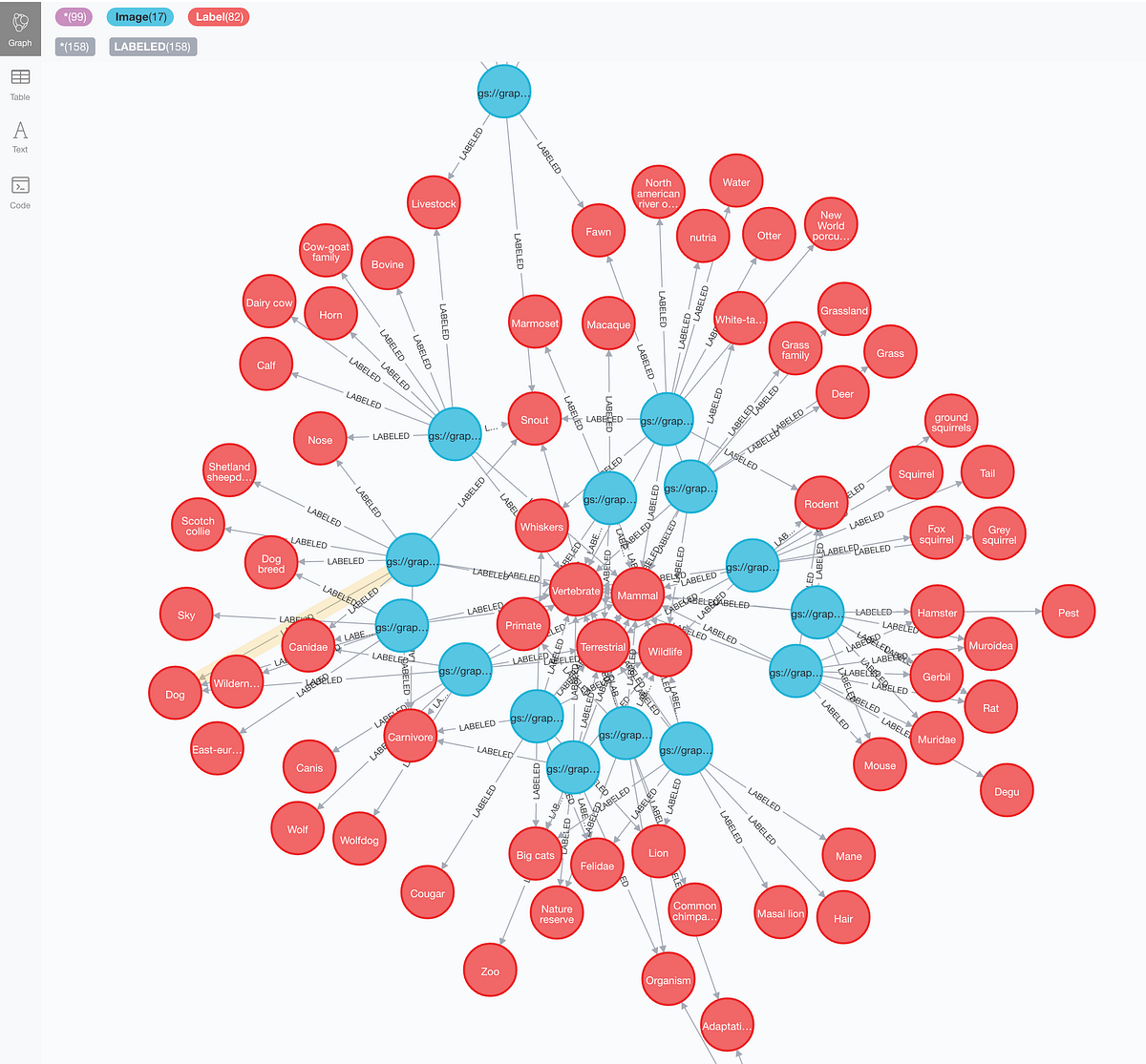 Neo4j Aura & PubSub on Google Cloud: Image Annotation | by David Allen ...