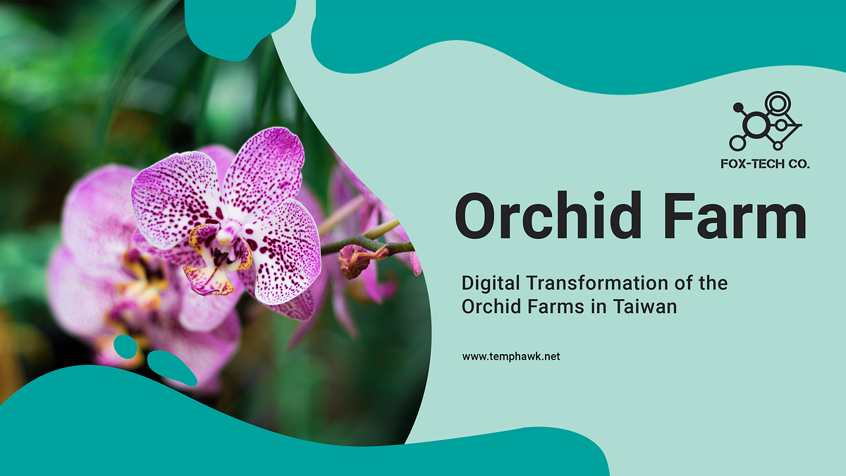 Digital Transformation of the Orchid Farms in Taiwan | by FOX-TECH CO. | FOX-TECH CO | Medium