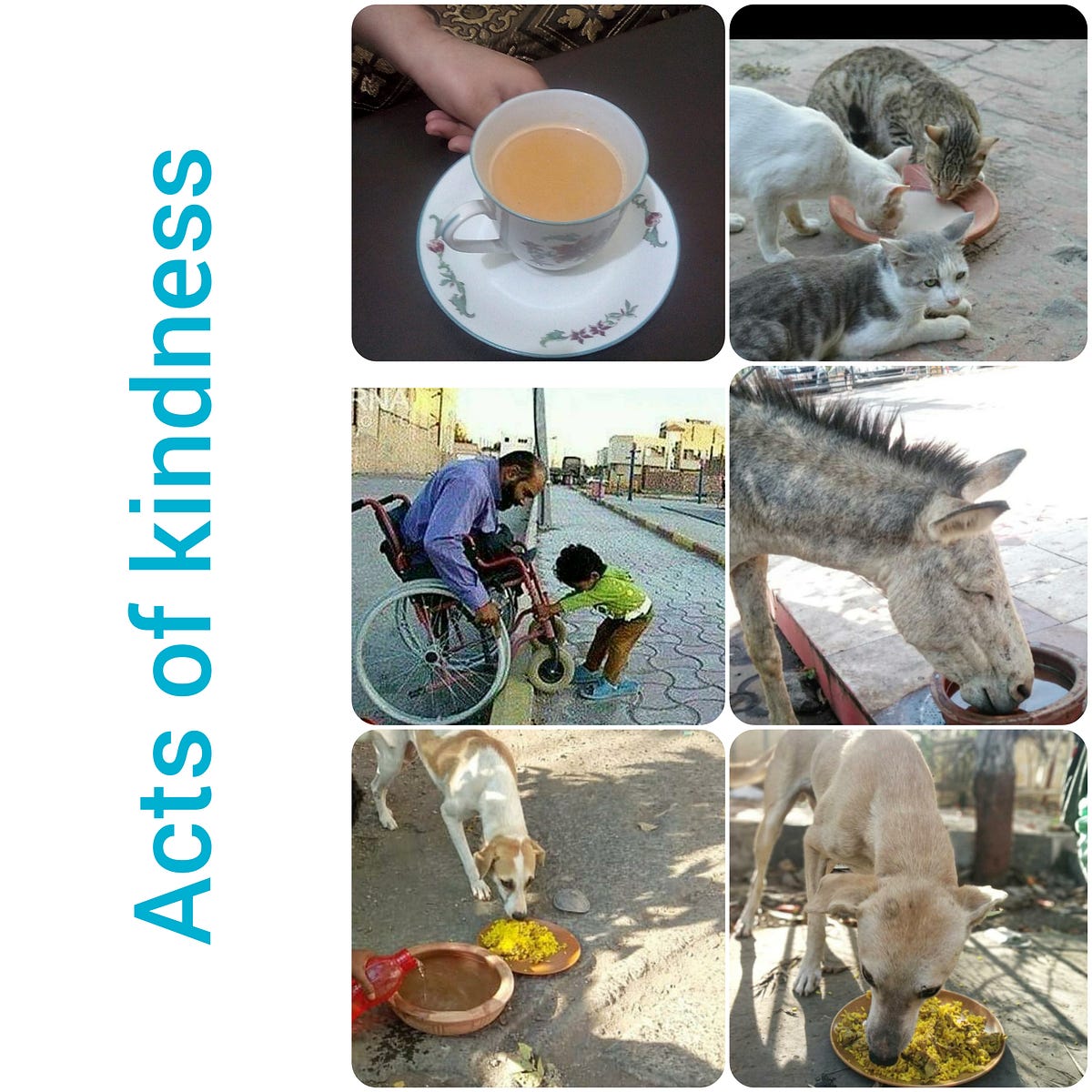 Acts of kindness. Acts of kindness denotes significant… | by Tayyiba ...