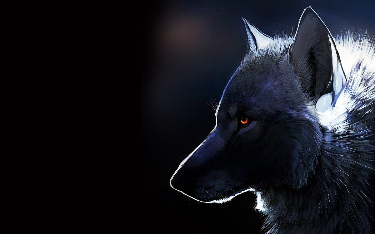 L’Ululato della Notte — Capitolo 4 | by Riccardo Liberati | Medium