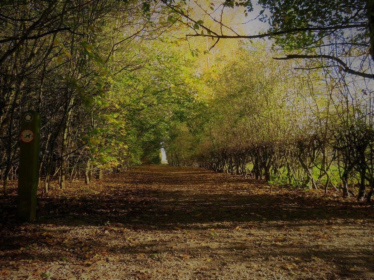 Changes. A poem, by Mark Channell-Napier | by Mark Channell-Napier ...